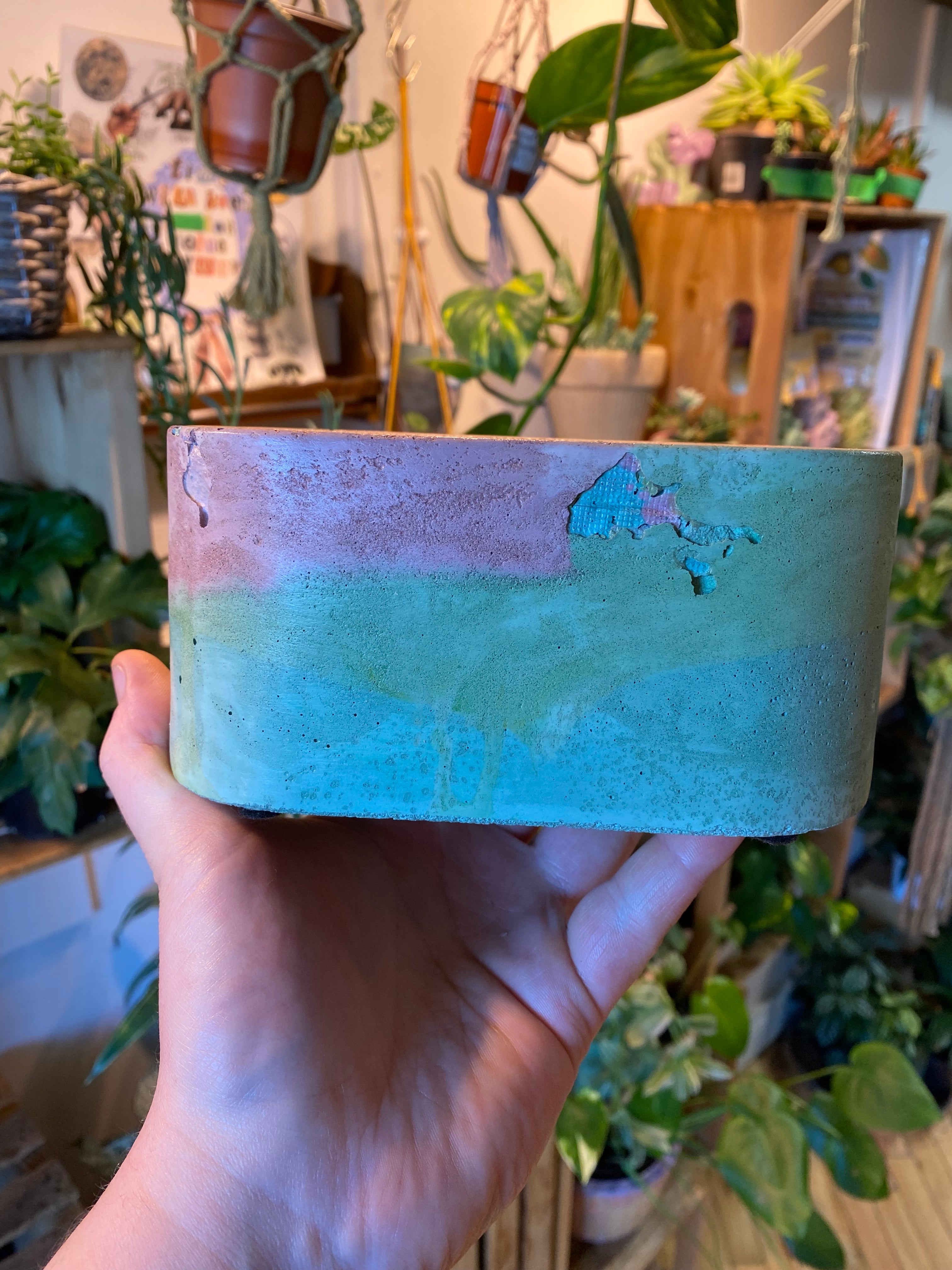 Oval Planter with tray / green & pink – Plant Goals