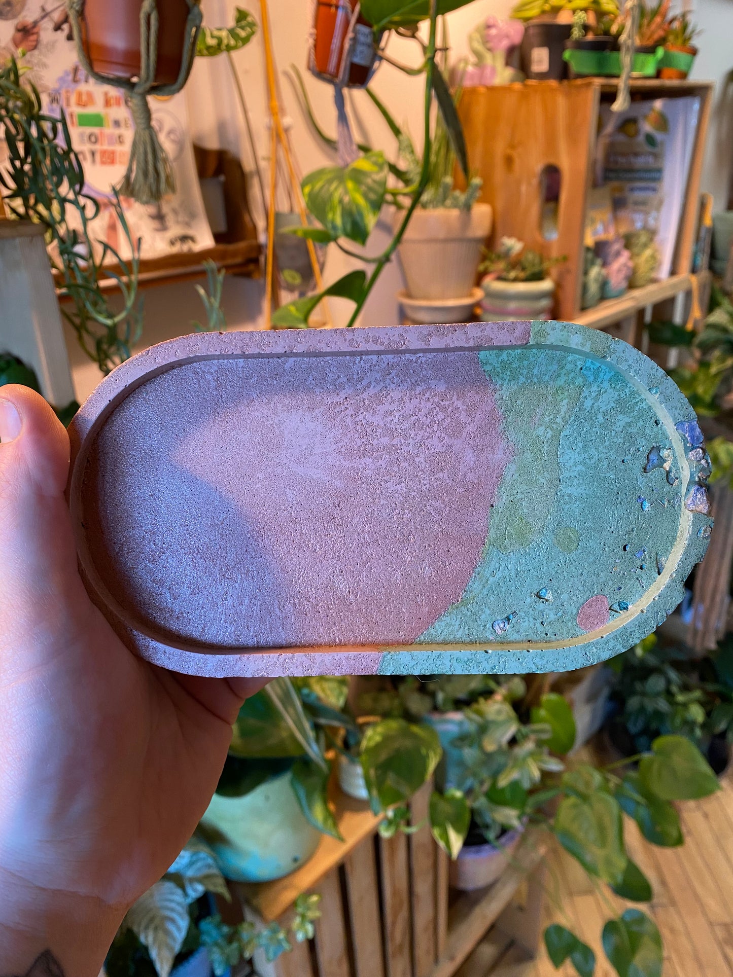 Oval Planter with tray / green & pink – Plant Goals